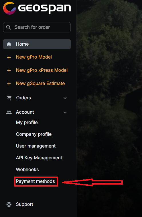 Paying for an order: Geospan account holder payment methods